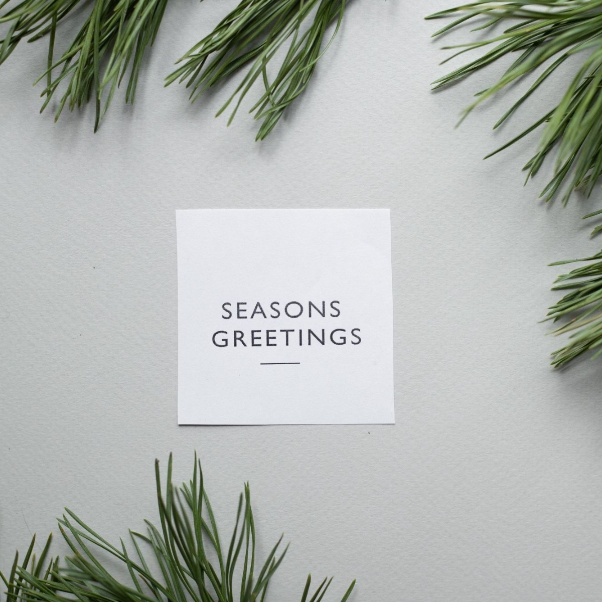 South Yorkshire Teaching Hub - Season's greetings